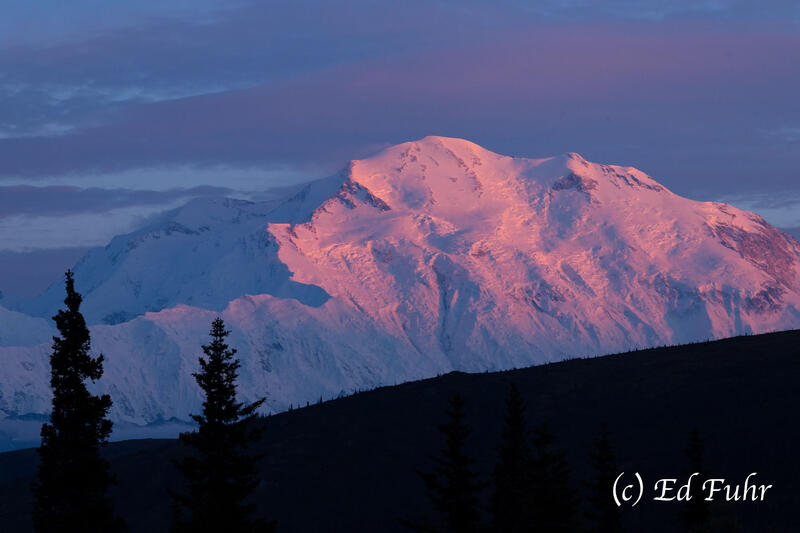 Denali 2025 | Ed Fuhr Photography