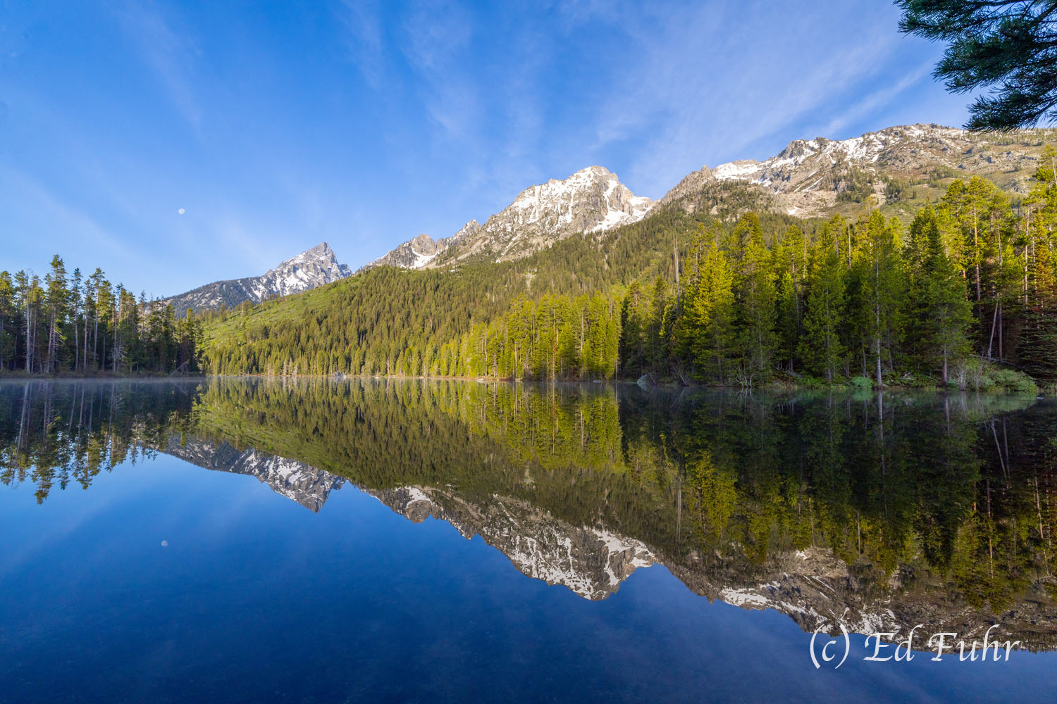 Grand Teton Spring Landscapes 2023 | Ed Fuhr Photography