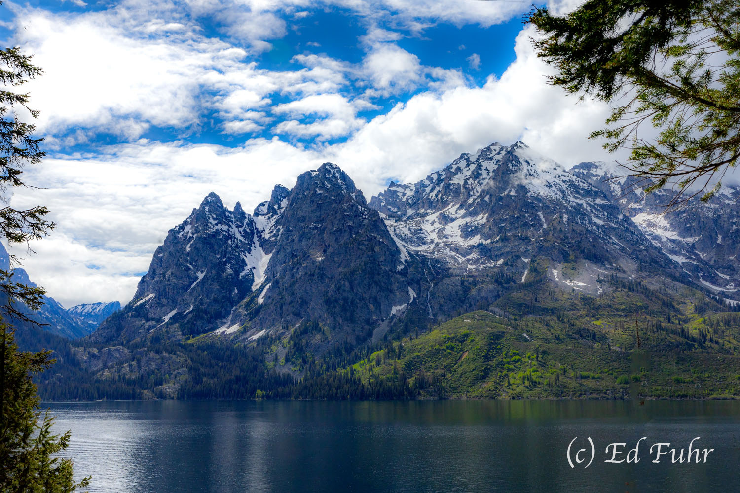 Grand Teton Spring Landscapes 2023 | Ed Fuhr Photography