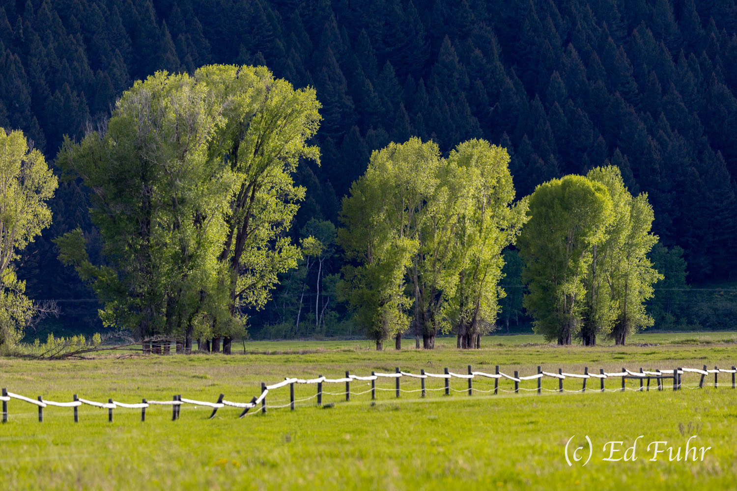 Grand Teton Spring Landscapes 2023 | Ed Fuhr Photography