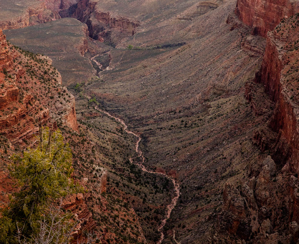 Canyon Detail | Grand Canyon National Park | Ed Fuhr Photography