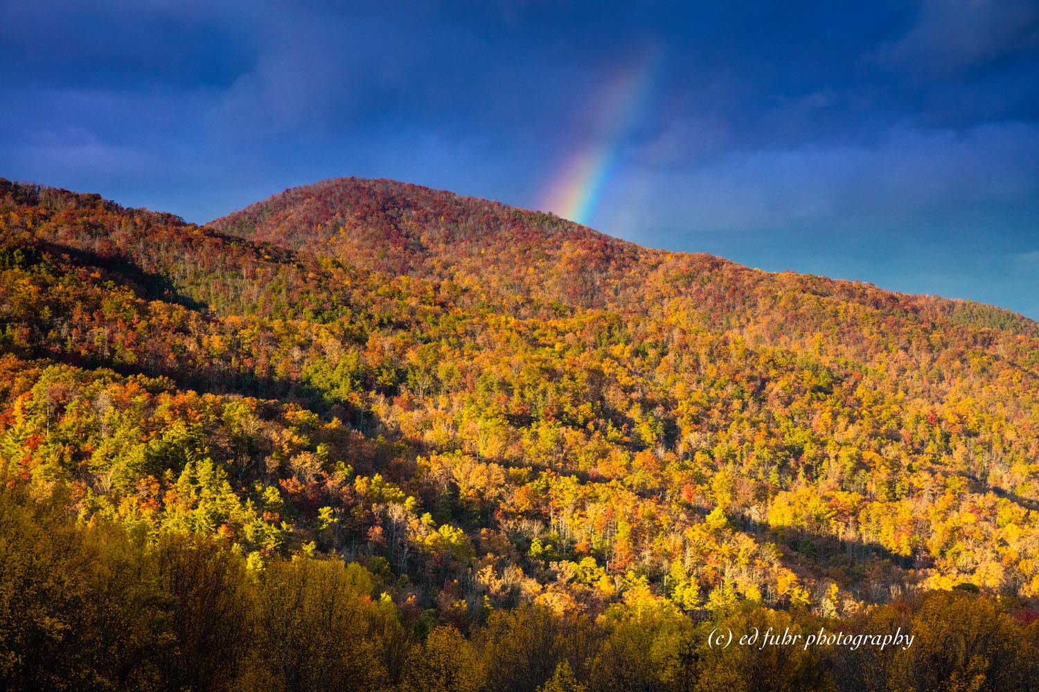 Maloney Overlook | Great Smoky Mountains National Park | Ed Fuhr ...