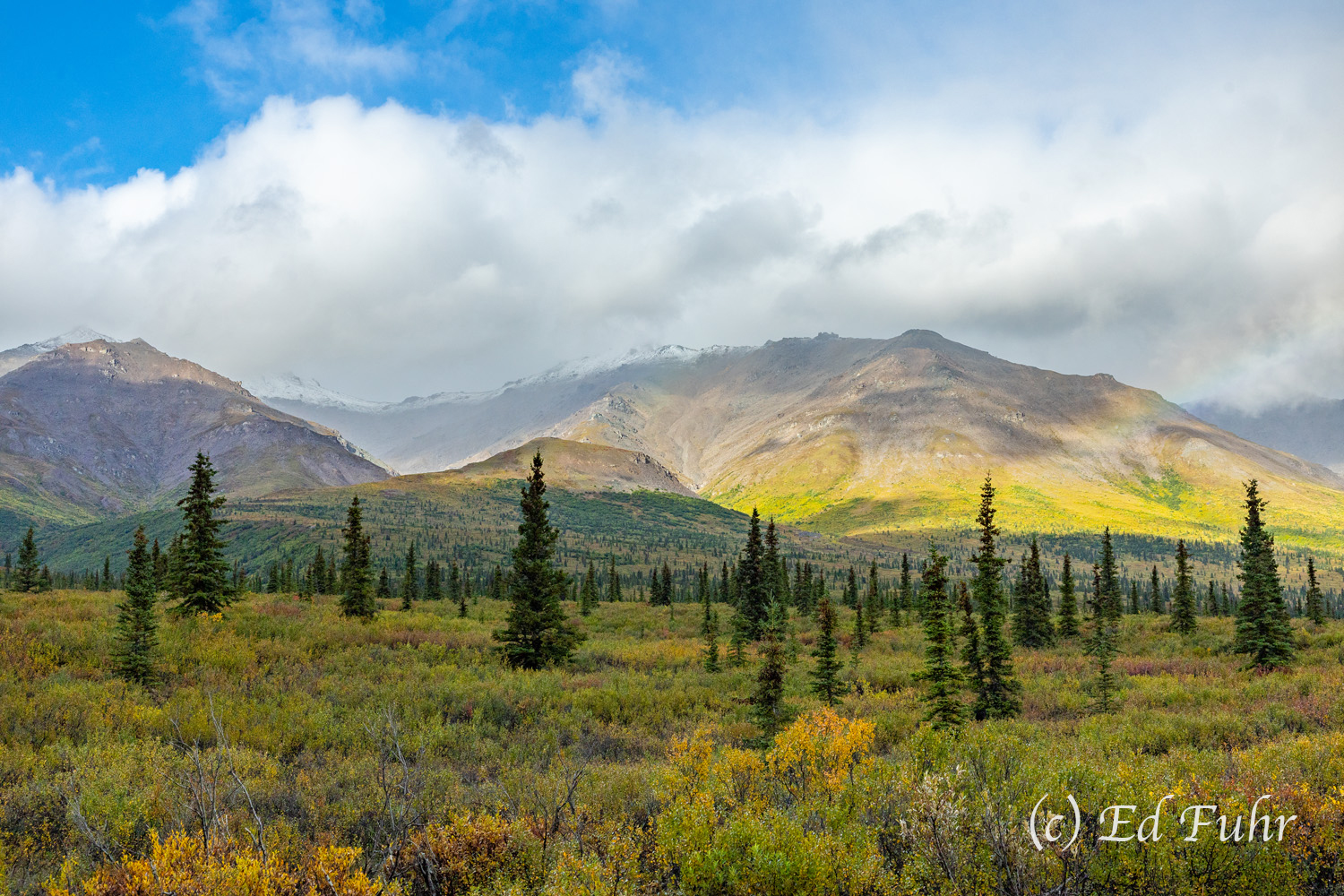 Denali 2023 | Ed Fuhr Photography