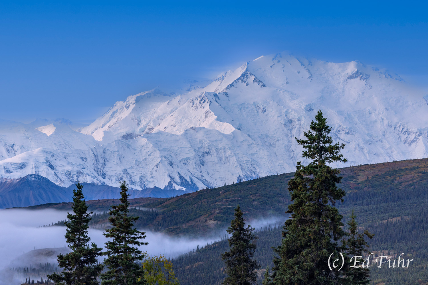 Denali 2023 | Ed Fuhr Photography