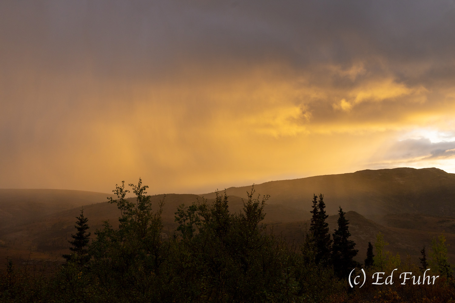 Denali 2023 | Ed Fuhr Photography