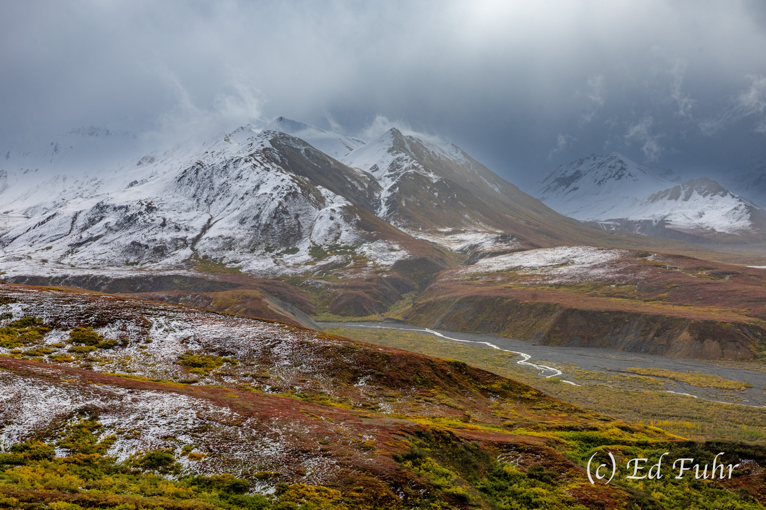 Denali 2023 | Ed Fuhr Photography