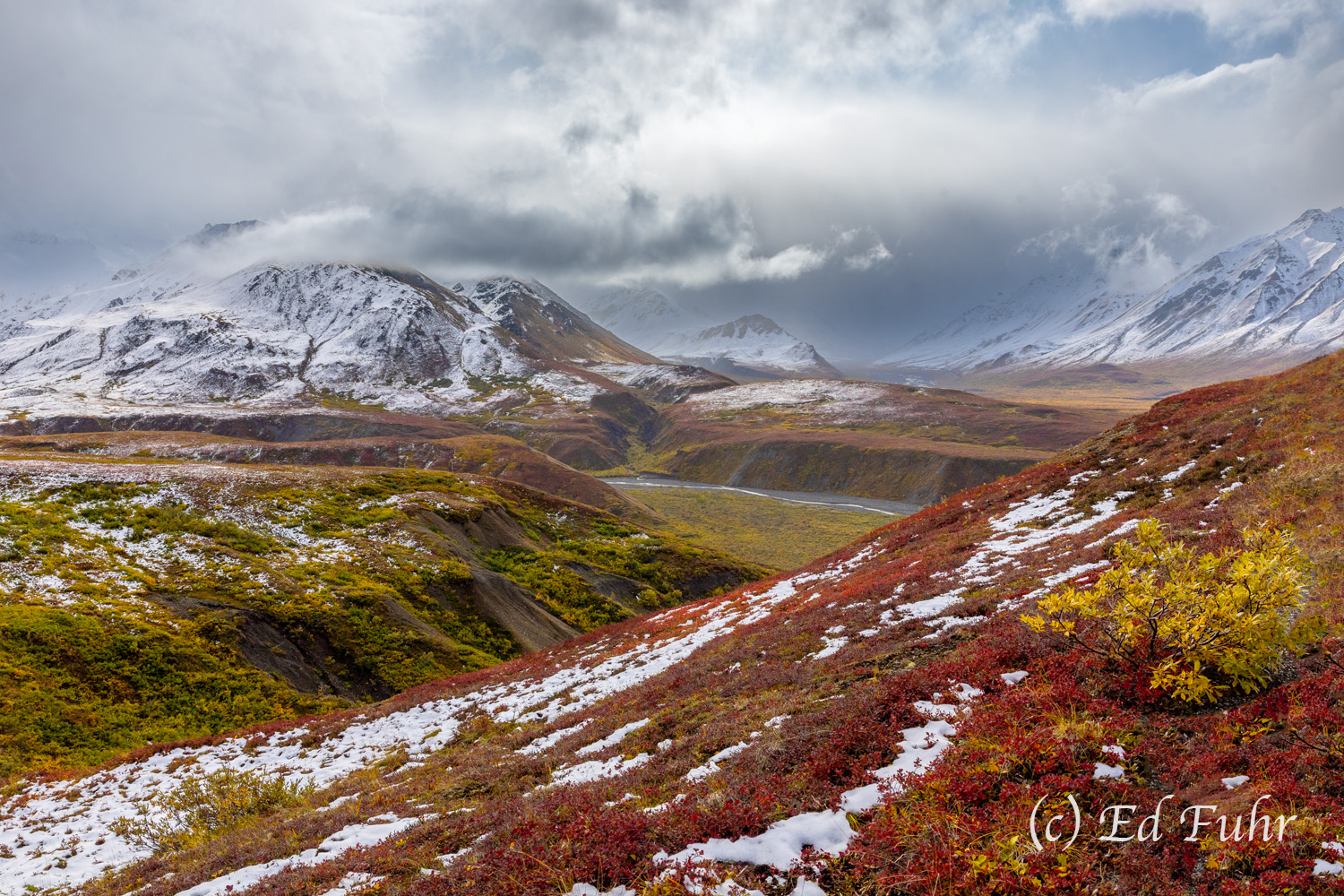Denali 2023 | Ed Fuhr Photography