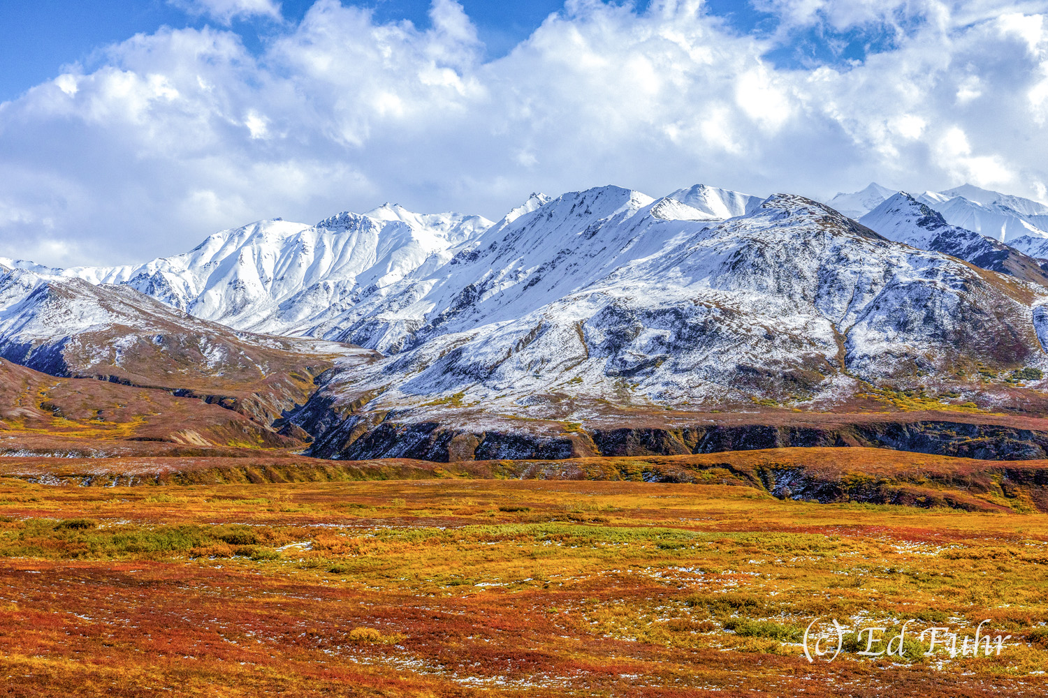 Denali 2023 | Ed Fuhr Photography