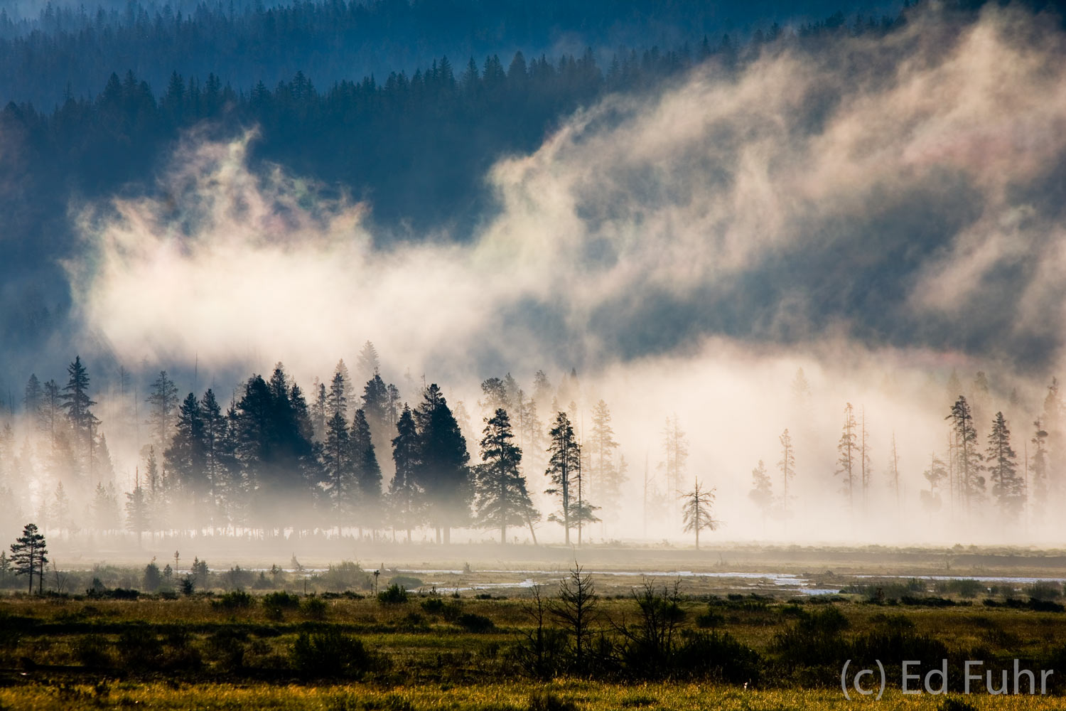 RIsing Fog | Yellowstone National Park | Ed Fuhr Photography