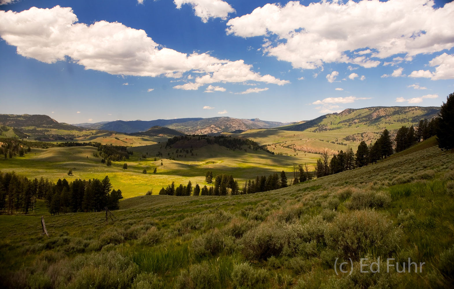 Specimen Trailhead | Yellowstone National Park | Ed Fuhr Photography