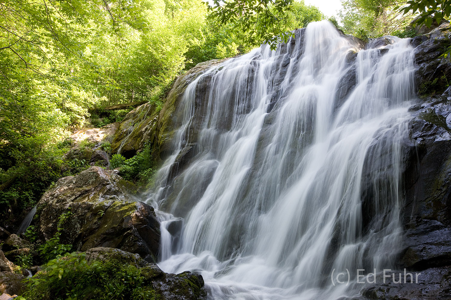 Upper Dark Hollow Falls II | Shenandoah National Park | Ed Fuhr Photography
