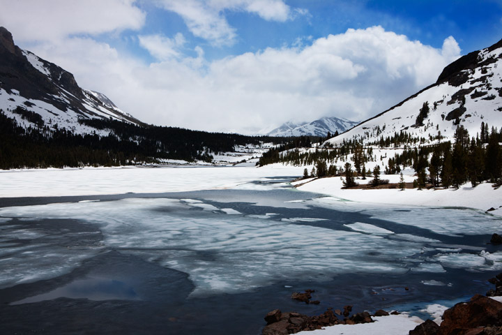 Ellery Lake | Yosemite National Park, CA | Ed Fuhr Photography